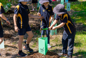 Parent Information – Echunga Primary School